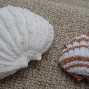 Scallop Shell Knitting Pattern - Etsy