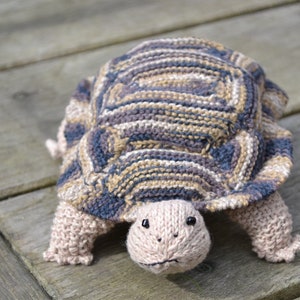 Tortoise Knitting Pattern - Etsy