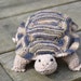 Tortoise Knitting Pattern - Etsy