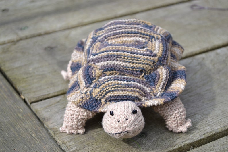 Tortoise Knitting Pattern - Etsy UK