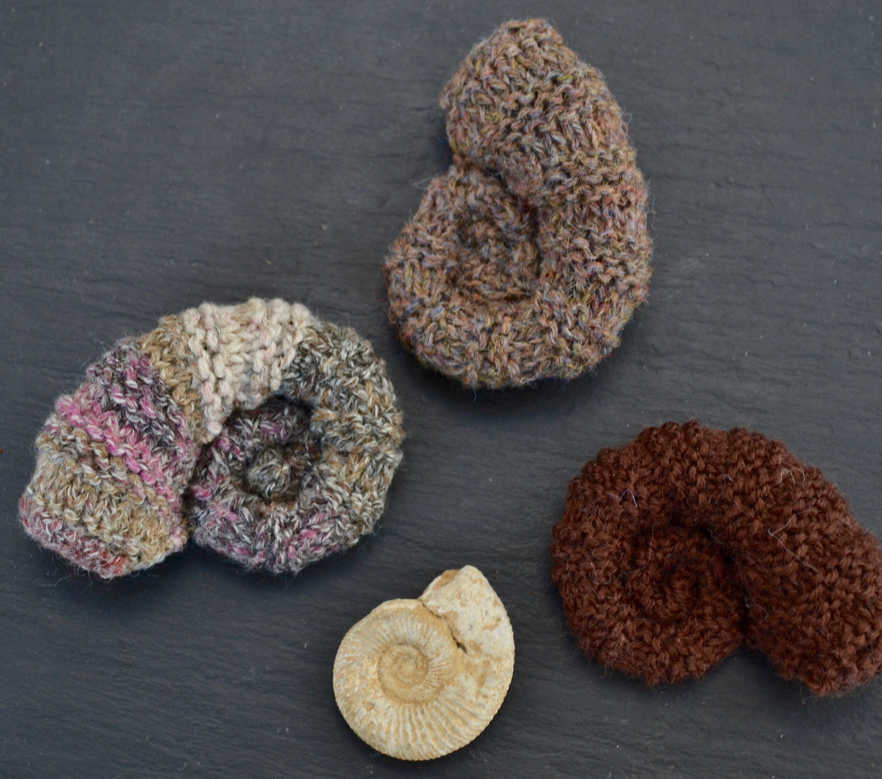 Ammonite Knitting Pattern - Etsy