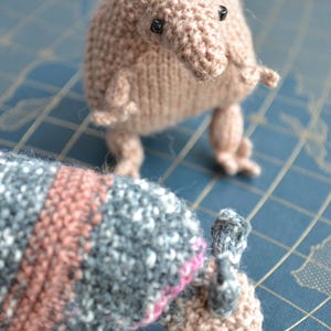 Armadillo Knitting Pattern - Etsy
