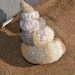 Spiral Shell Knitting Pattern - Etsy