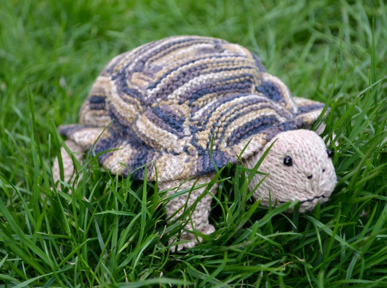 Tortoise Knitting Pattern - Etsy UK