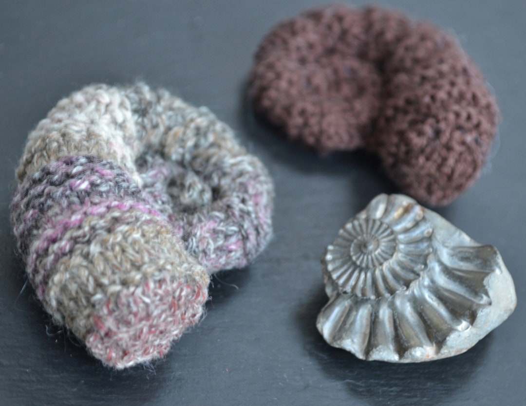 Ammonite Knitting Pattern - Etsy