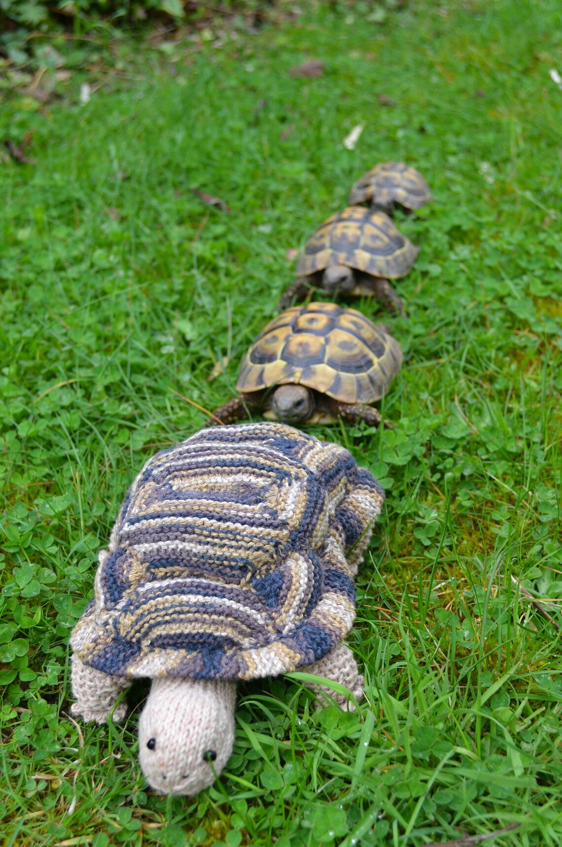 Tortoise Knitting Pattern | Etsy UK