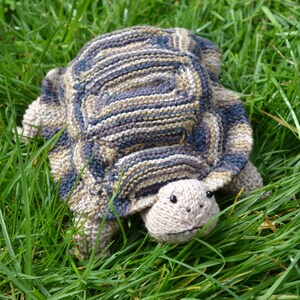 Tortoise Knitting Pattern - Etsy