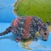 Armadillo Knitting Pattern - Etsy
