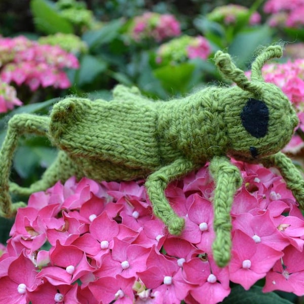 Cricket Patterns Sewing - Etsy