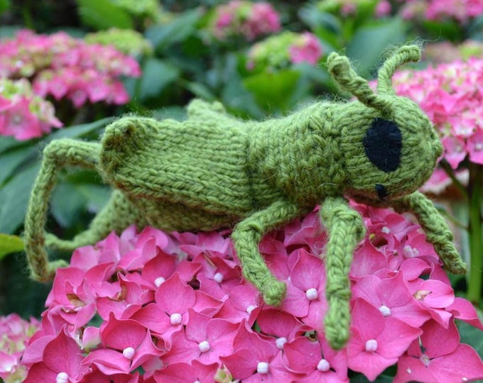 Scallop Shell Knitting Pattern - Etsy