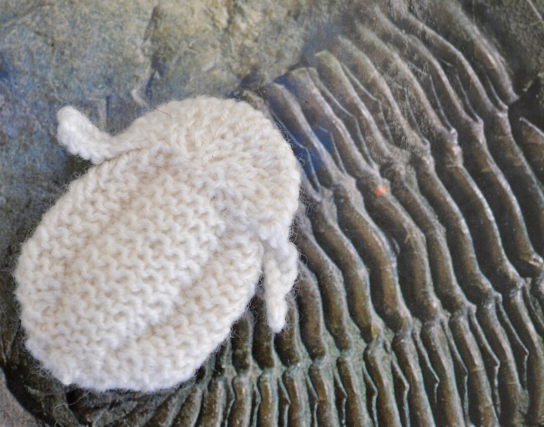 Trilobite Knitting Pattern - Etsy