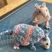 Armadillo Knitting Pattern - Etsy