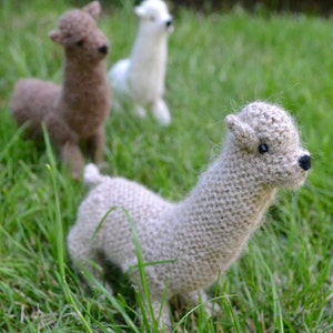 Alpaca Knitting Pattern - Etsy
