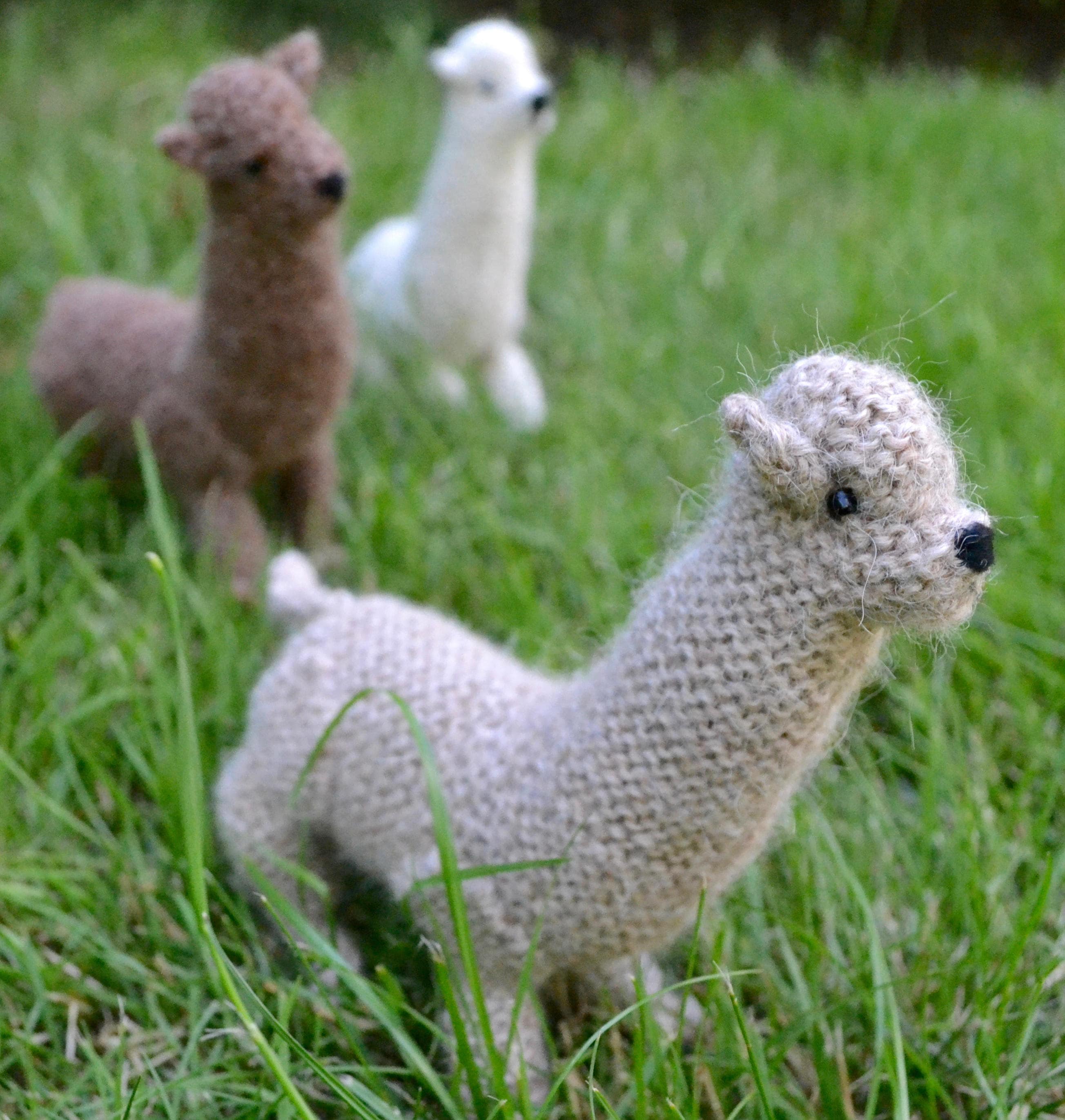 Alpaca Knitting Pattern | Etsy