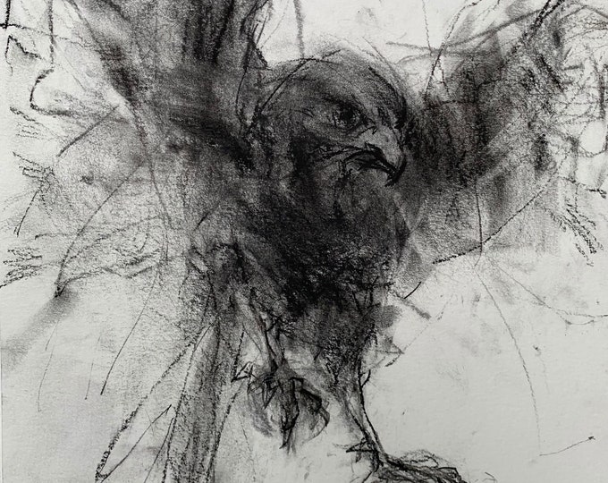 No Mercy or Portrait of a Hawk - Etsy