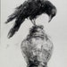 Original Charcoal Drawing, Night Watch, Raven Art (17.75x13.5) - Etsy