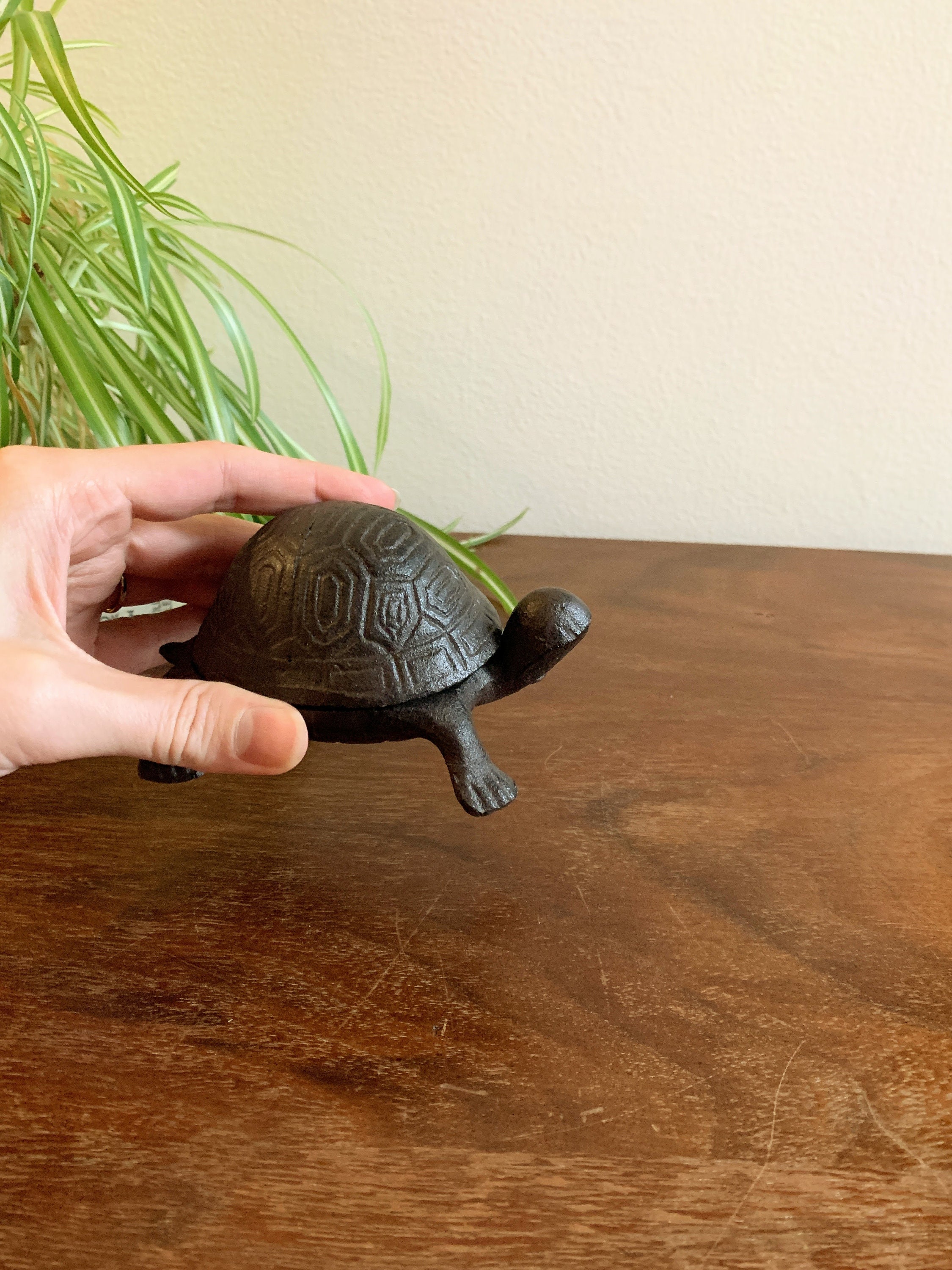 Vintage Cast Iron Turtle Trinket Box - Etsy
