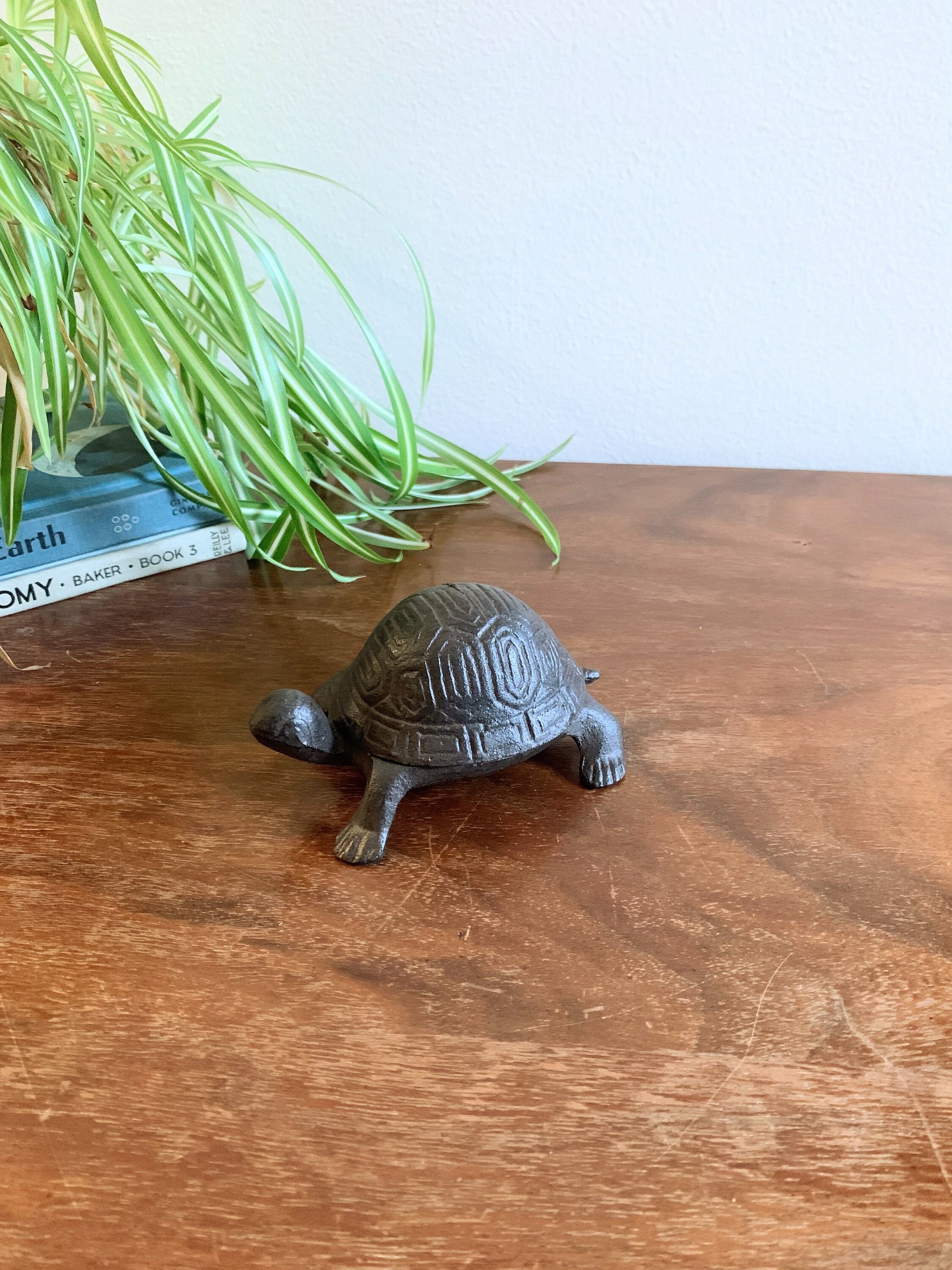 Vintage Cast Iron Turtle Trinket Box - Etsy