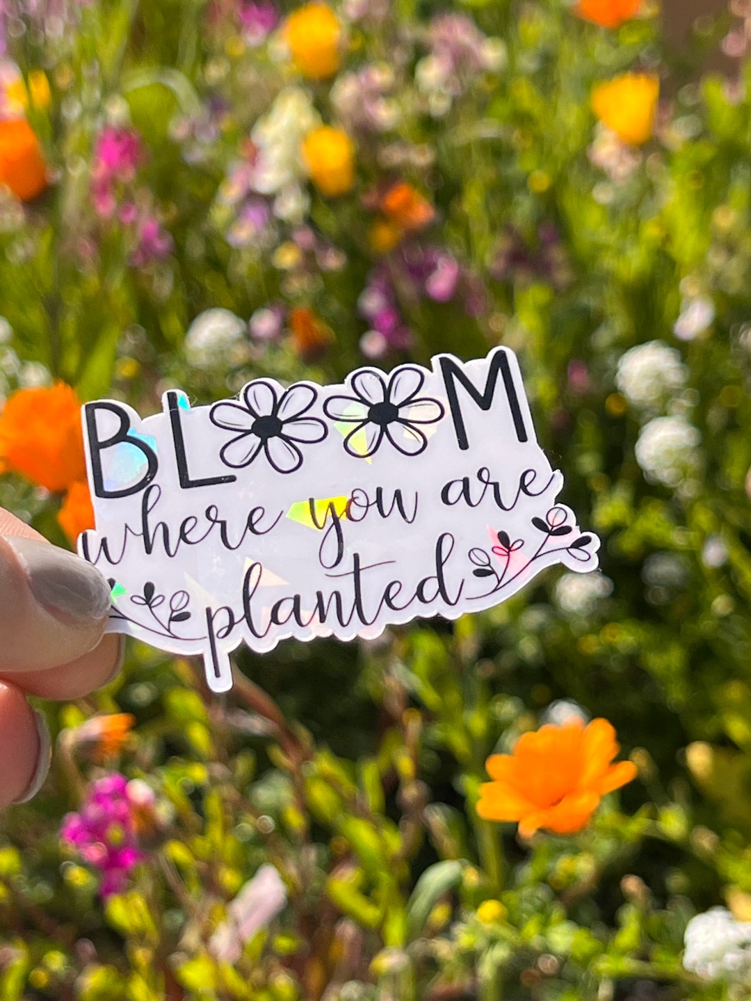 Bloom Where You Are Planted Sticker, Laminated Floral Decal - Etsy