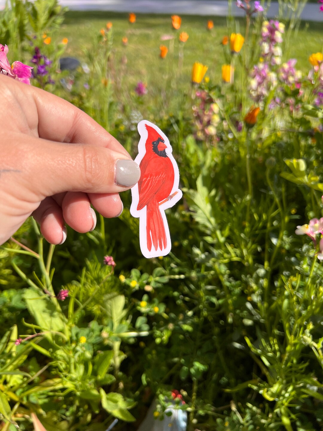 Red Cardinal Sticker, Cardinal Sticker, Loved One Sticker, Sticker for ...