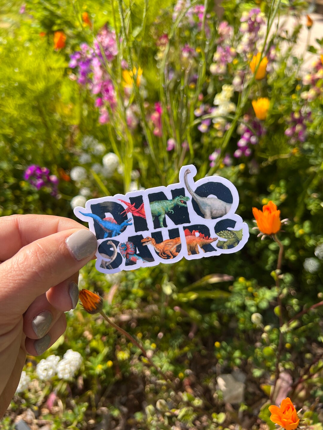 Dinosaurs Sticker, Dinosaur Lover Sticker, Paleontologist Sticker ...