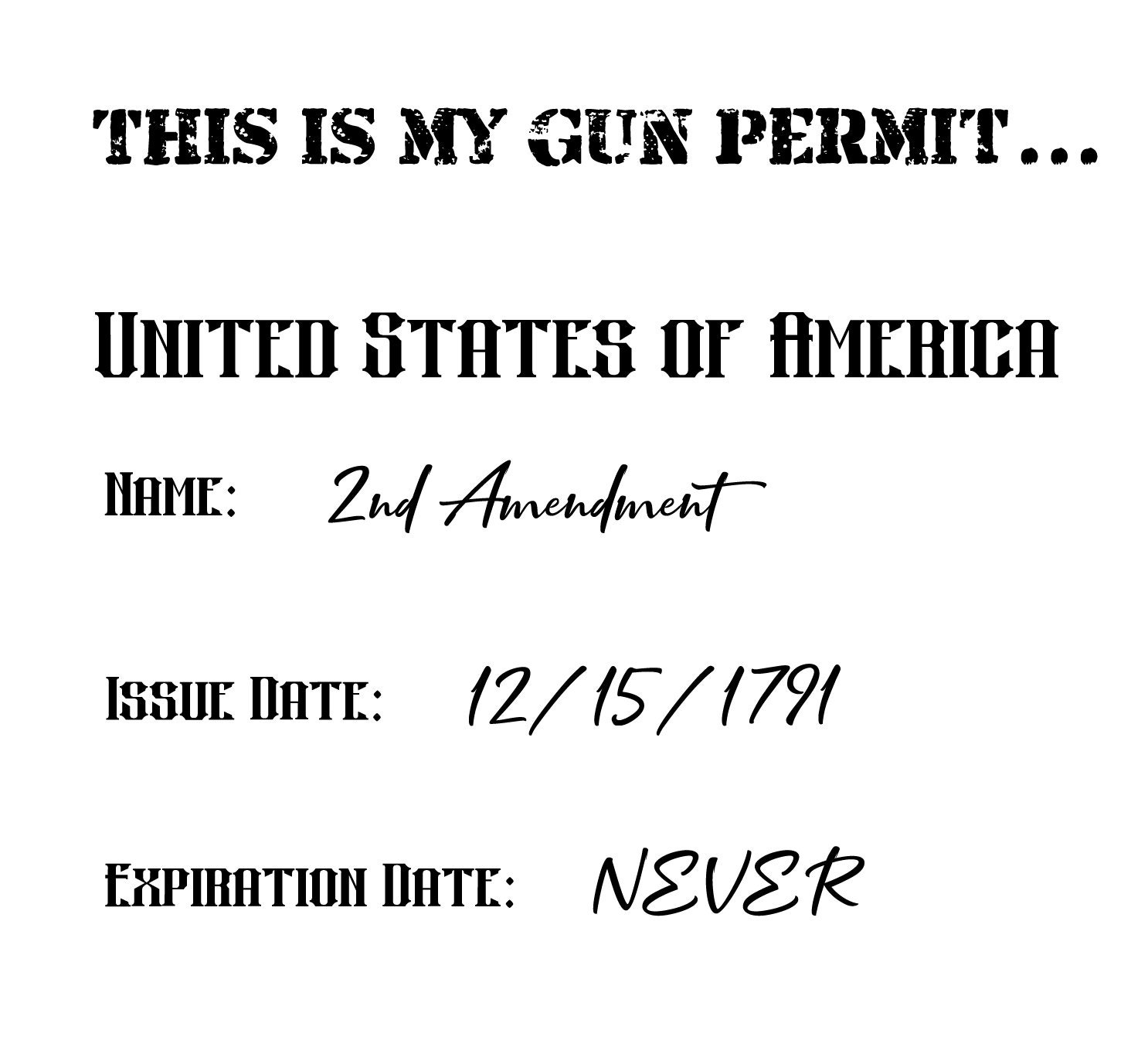 This is My Gun Permit Second Amendment 2nd Amendment Guns | Etsy