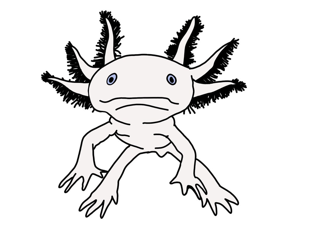 Hand Drawn Axolotl, Amphibian, Walking Fish SVG File, Drawn Clipart ...