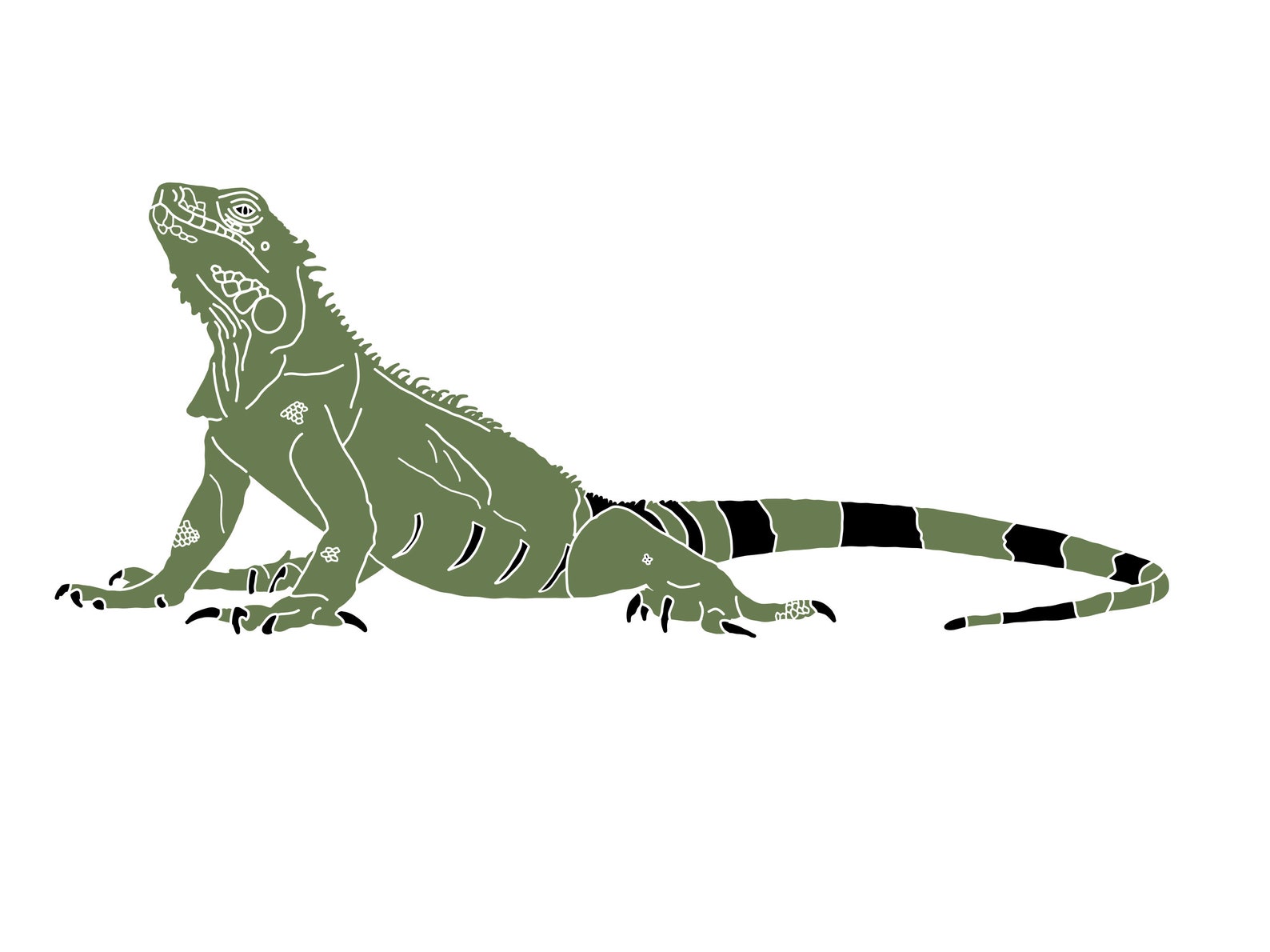 Iguana SVG Lizard SVG Iguana Cutting File Hand Drawn SVG - Etsy