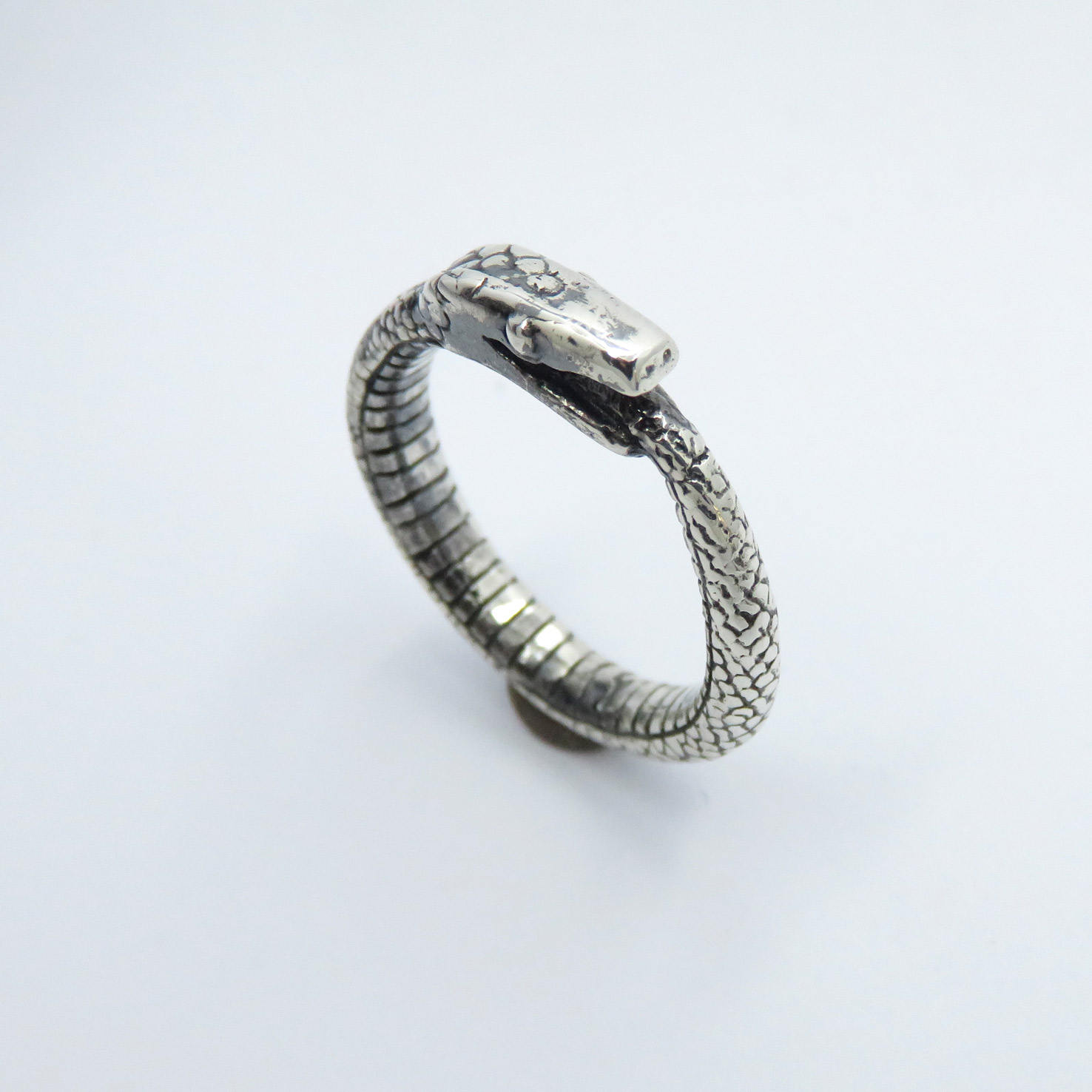 Ouroboros Ring Serpent Ring Occult Symbol Occult Gift - Etsy