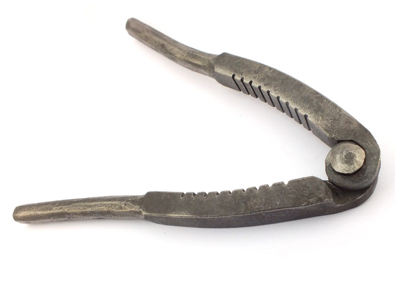 E_05a Hand Forged Steel NUT & SHELL CRACKER - Etsy