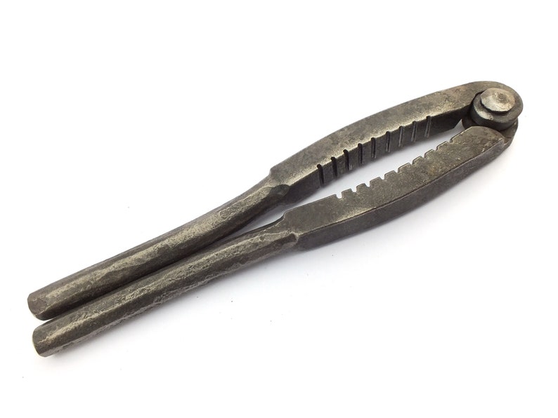 E_05a Hand Forged Steel NUT & SHELL CRACKER - Etsy