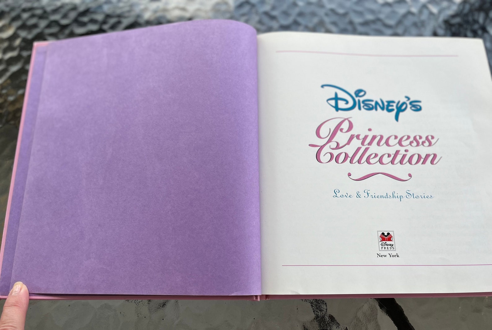 Disneys Princess Collection Love and Friendship Stories - Etsy
