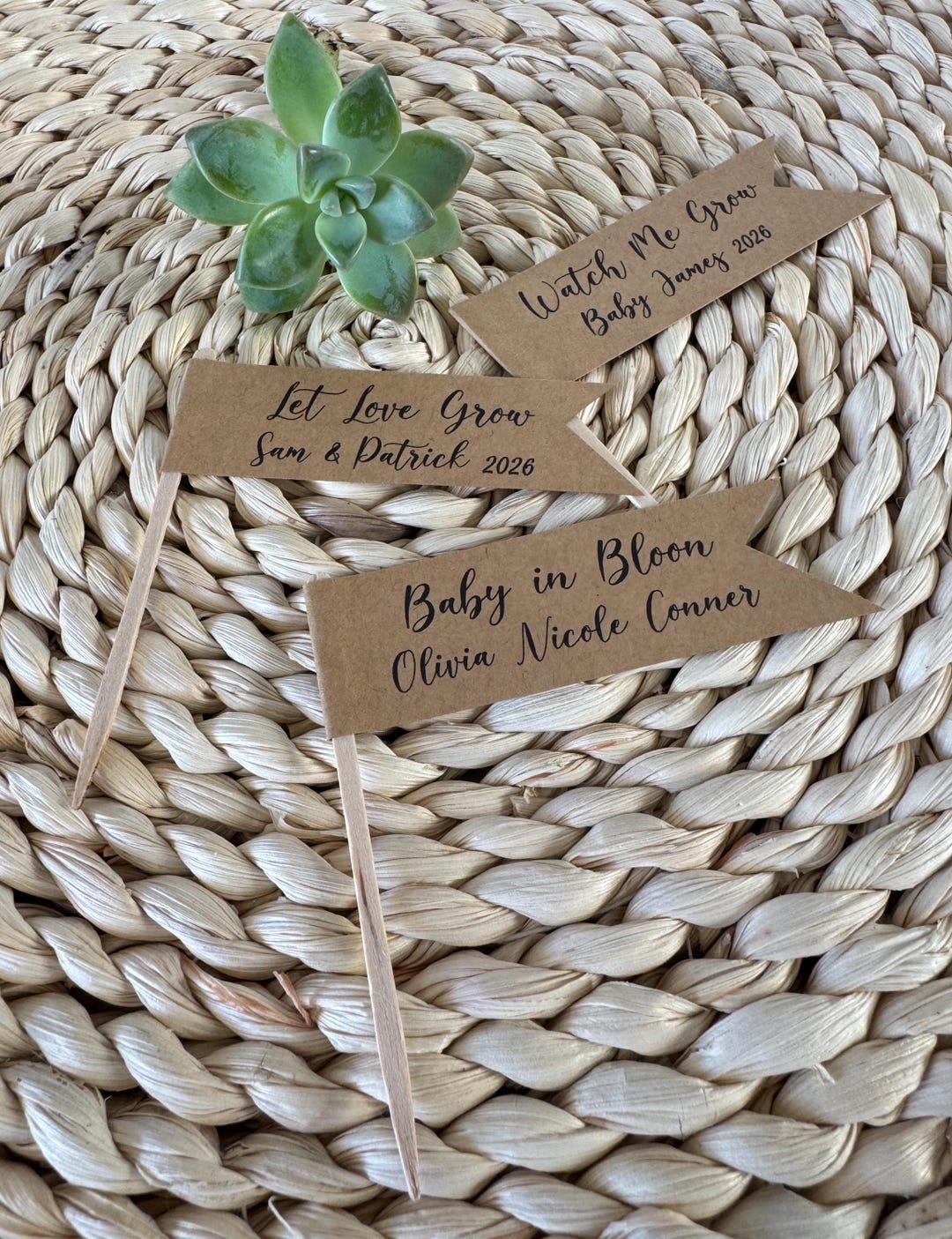 Wedding Favor Tags: Let Love Grow Plant Pick Bridal Shower Baby Shower ...