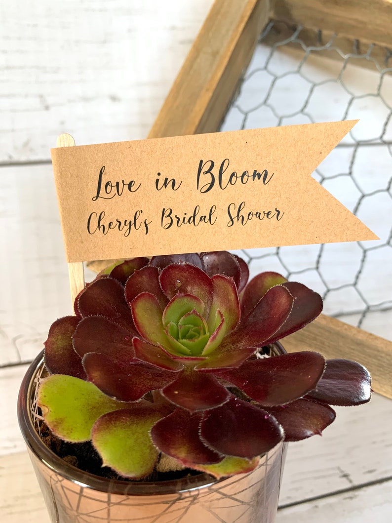 Wedding Favor Tags: Let Love Grow Plant Picks Bridal Shower Baby Shower ...