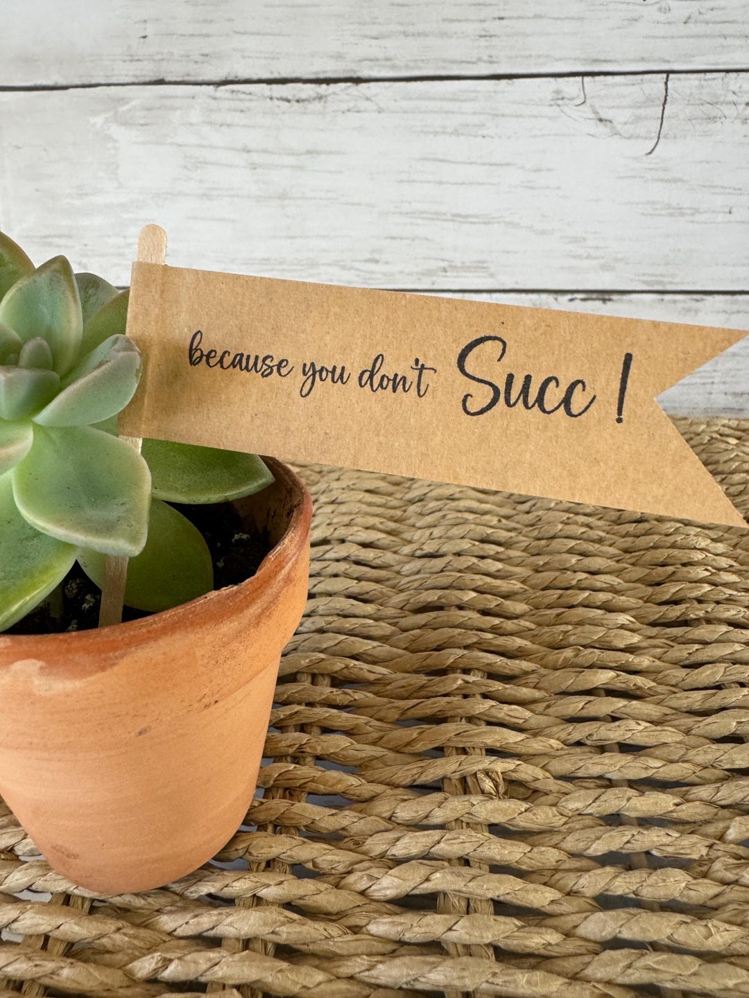 Thank You Tags for Succulents Plants, Because You Dont Succ, Fun Plant ...
