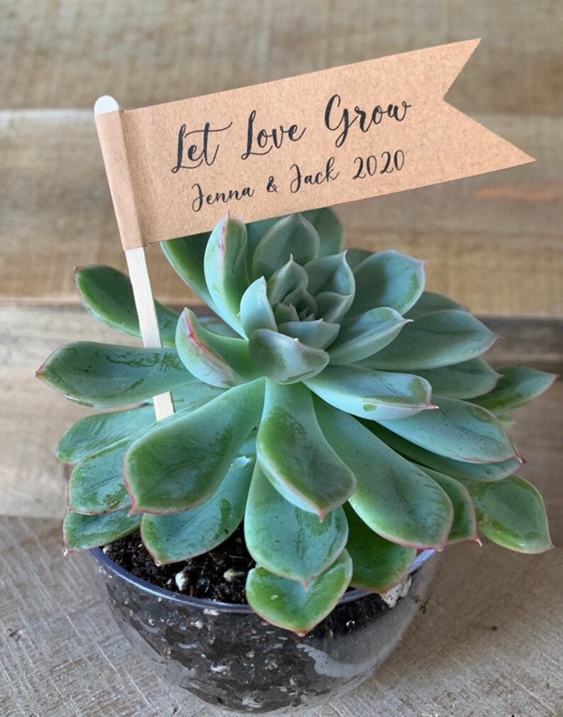 Wedding Favor Tags: Let Love Grow Plant Picks Bridal Shower Baby Shower ...