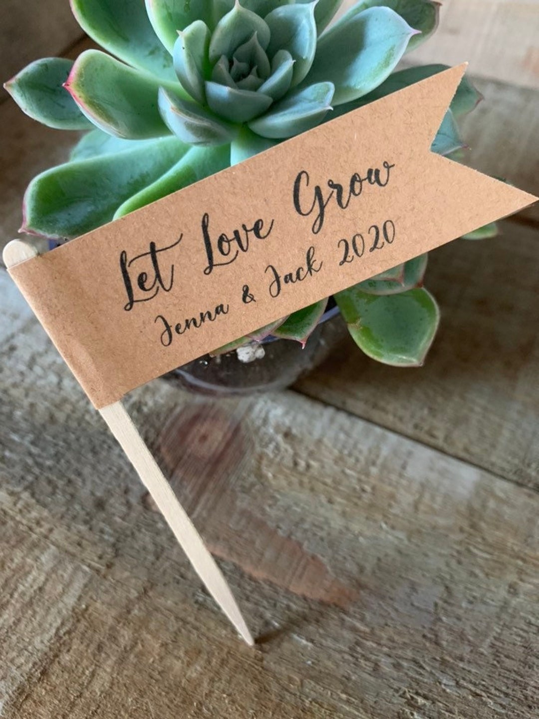 Wedding Favor Tags: Let Love Grow Plant Picks Bridal Shower Baby Shower ...