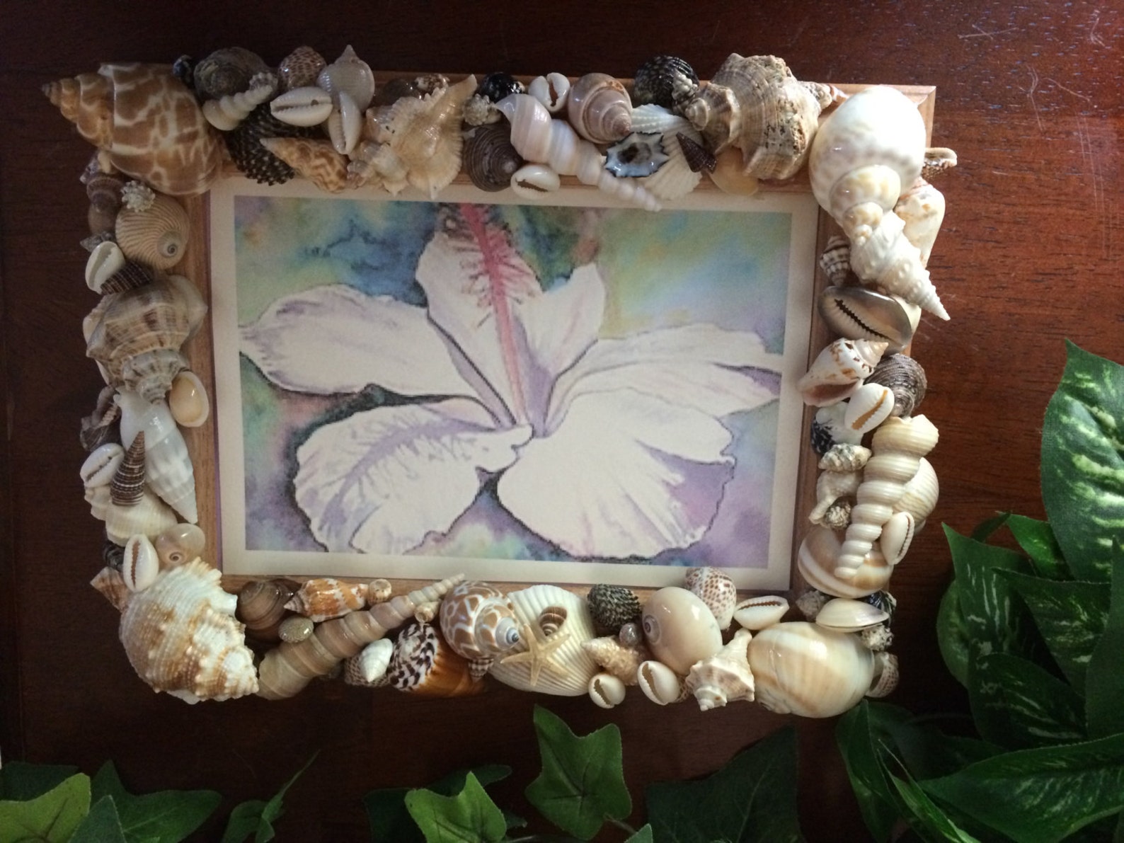 Hawaiian Seashell Frame With Print of Giant White Hibiscus - Etsy