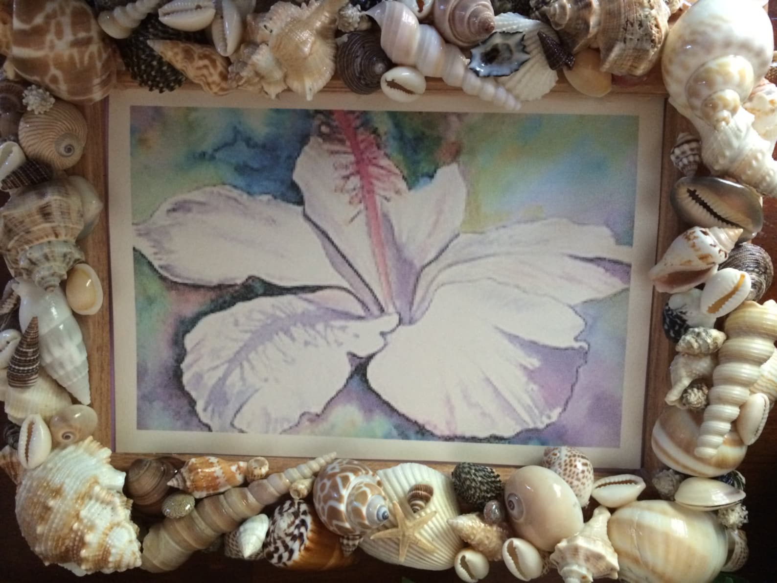 Hawaiian Seashell Frame With Print of Giant White Hibiscus - Etsy