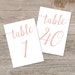 Rose Gold Table Numbers 1-40 / Printable Table Numbers Rose Gold ...