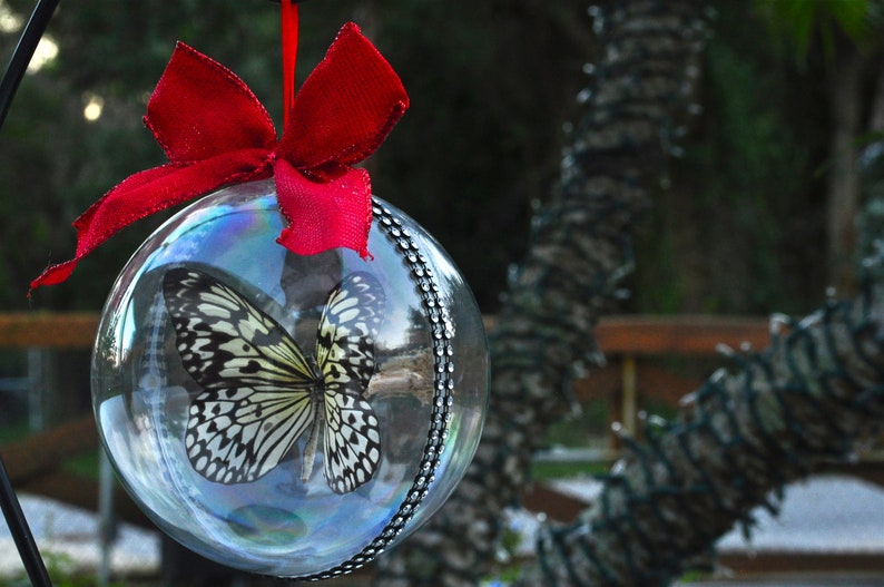 Real Butterfly Butterfly Ornament Butterfly Ball Butterfly | Etsy