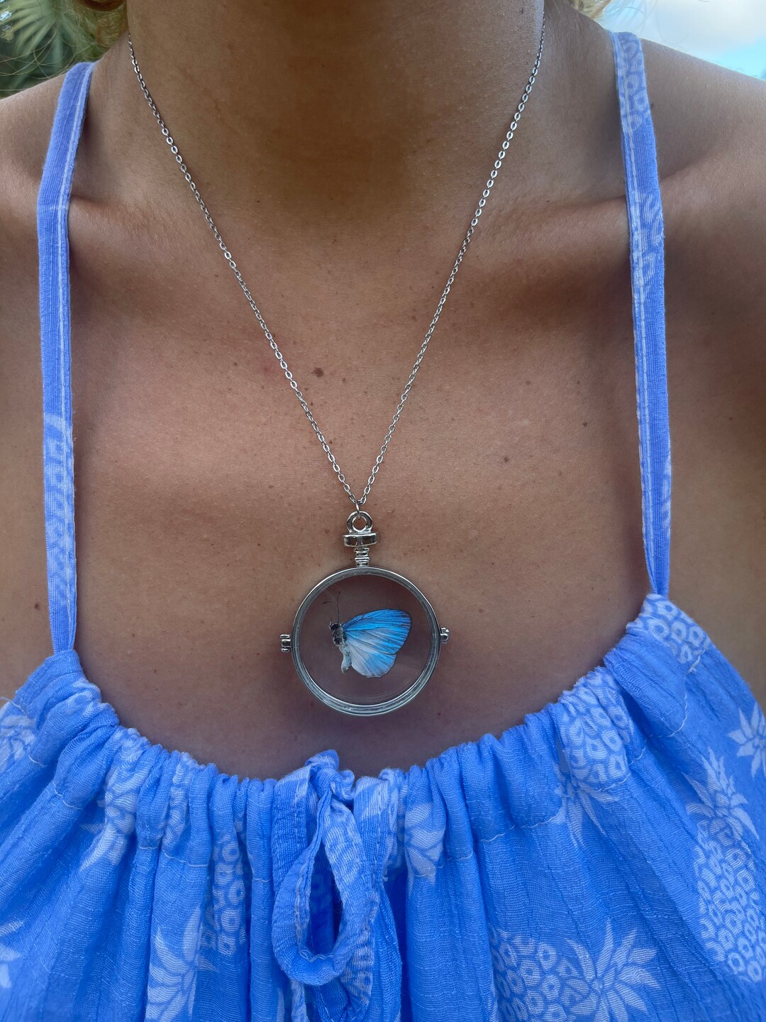 Blue Butterfly Locket, Jamides Aruensis, Preserved Butterfly, Dried ...