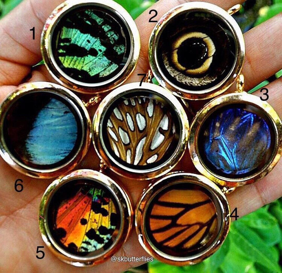 Butterfly Wing Lockets, Butterfly Jewelry, Real Butterfly, Blue ...
