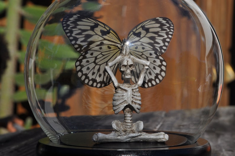 Butterfly Globe Butterfly Dome Real Butterfly Skeleton | Etsy