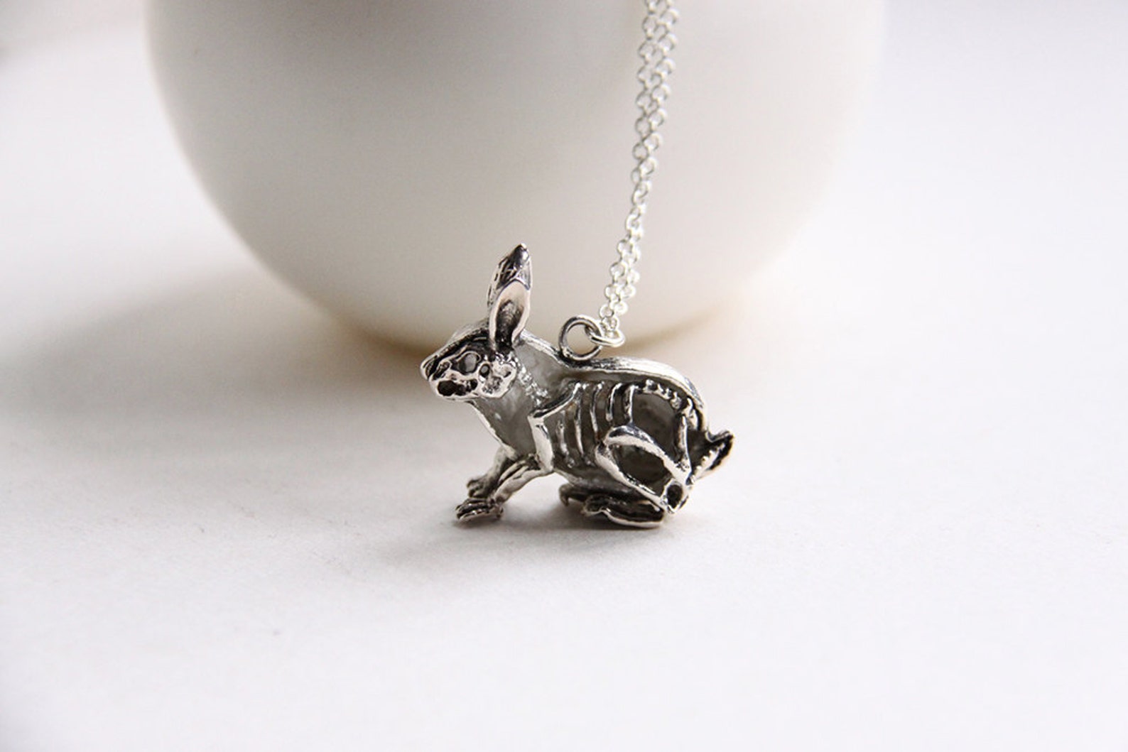 An Anatomy of a Rabbit Charm Necklace./ Skeleton Rabbit. /bunny ...