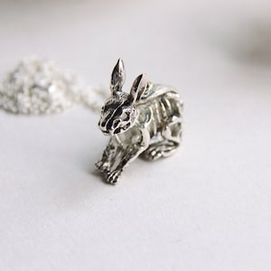 An Anatomy of a Rabbit Charm Necklace./ Skeleton Rabbit. /bunny ...