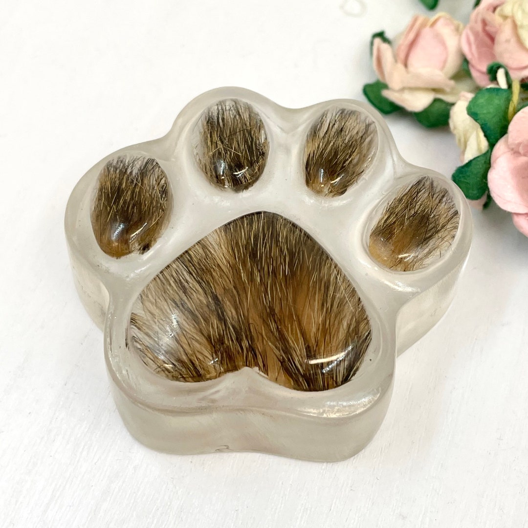 Paw Print Memorial Keepsake Containing Your Pets Fur or Hair. Dog, Cat ...