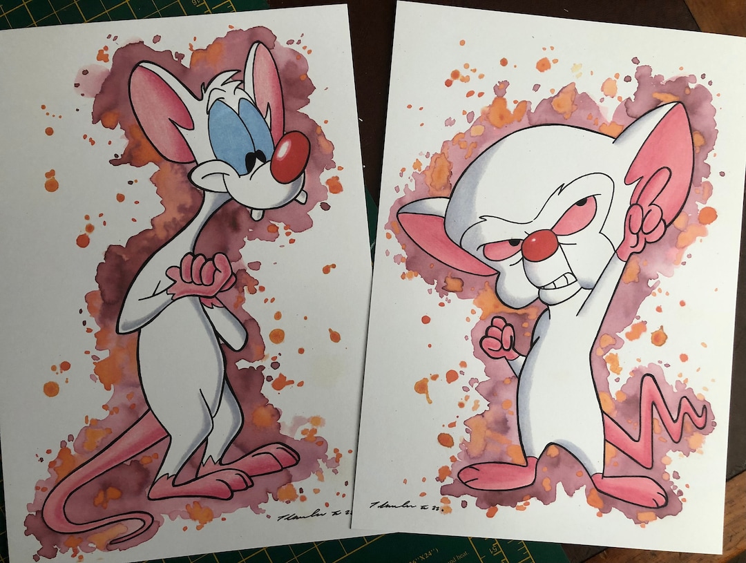 2 X PRINT .. Pinky and the Brain .. Signed Fan-art A4. - Etsy