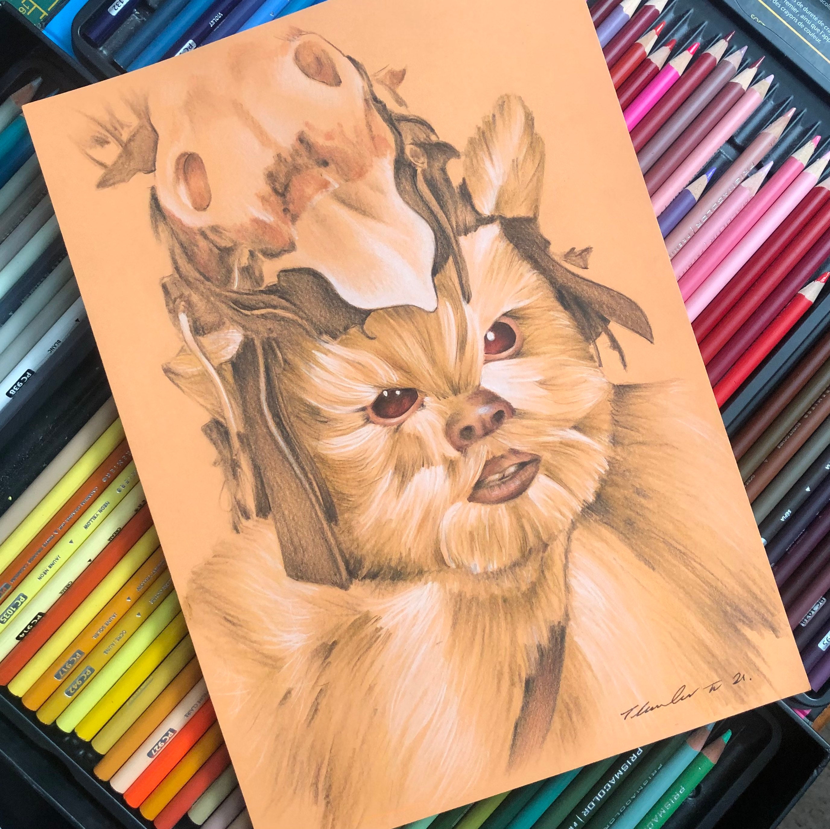 Logray Ewok Original Pencil Drawing . Fan-art A4 . Star Wars | Etsy