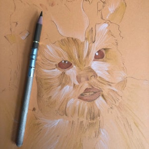 Logray Ewok Original Pencil Drawing . Fan-art A4 . Star Wars Return of ...